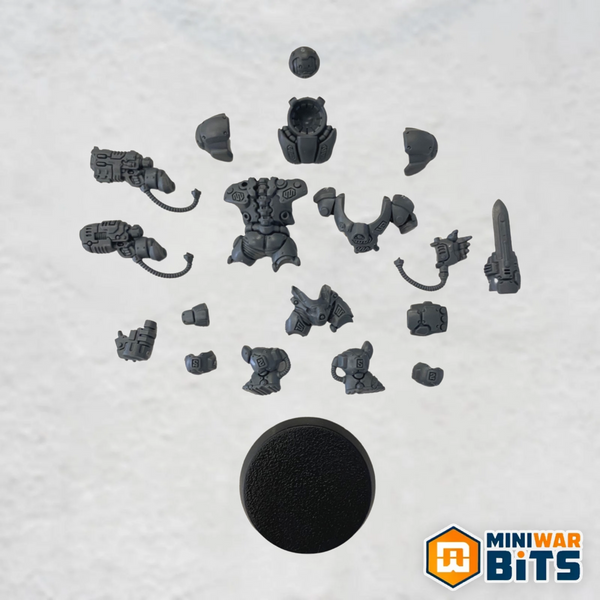 Einhyr Hearthguard Single Figure - MiniWar Bits