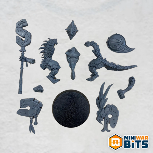 Saurus Warriors Icon Bearer Single Figure - MiniWar Bits