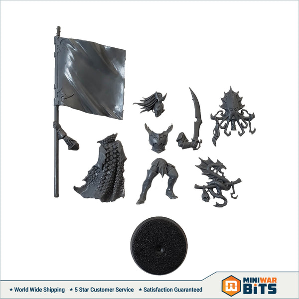 Black Ark Corsairs Standard Bearer Single Figure - MiniWar Bits