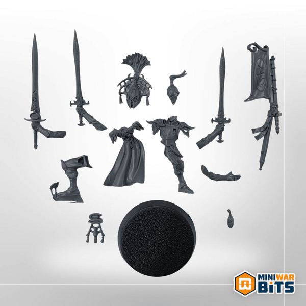 Vanari Bladelord Seneschal Male Single Figure - MiniWar Bits