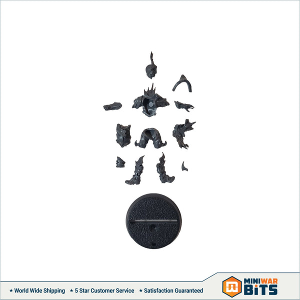 Naggaroth Nightmares Dark Elf Blitzer - MiniWar Bits